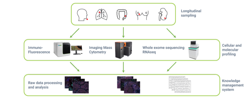 IMMUcan - About the project